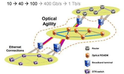 Analysis of the Current Coherent Optical Module Market